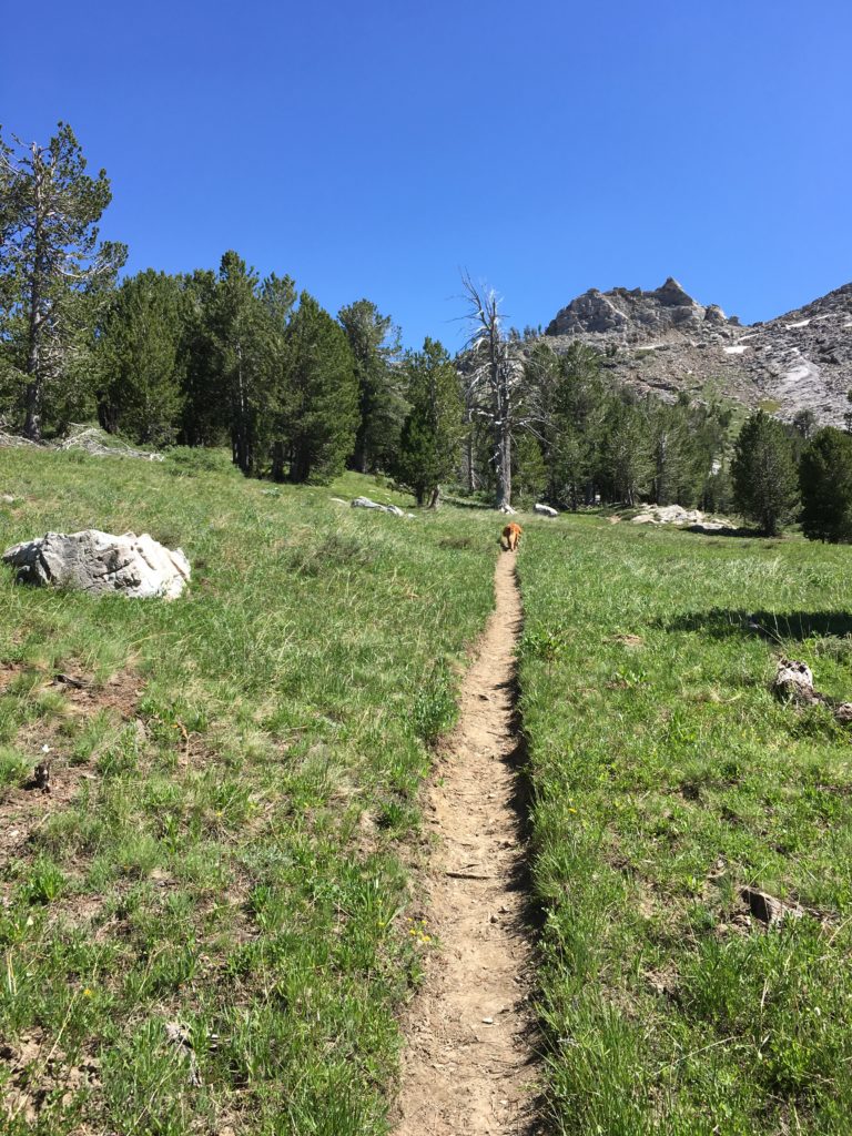 Ruby Crest Trail – North to South. Part 1: An Idea - 42 Outdoors